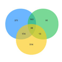 Venn diagram (3 circles) Flowchart Template_ProcessOn